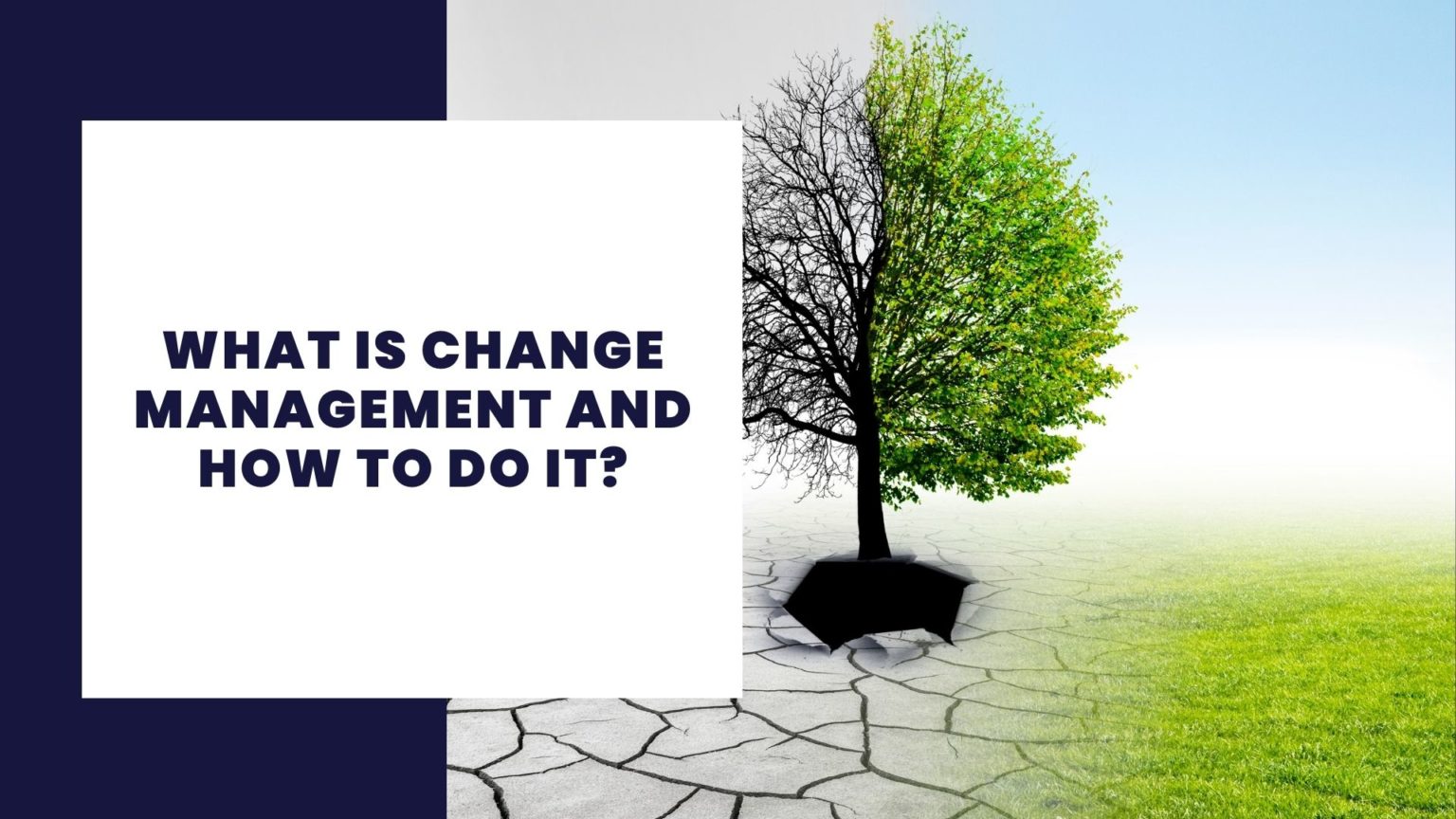 What is change management and how to do it?