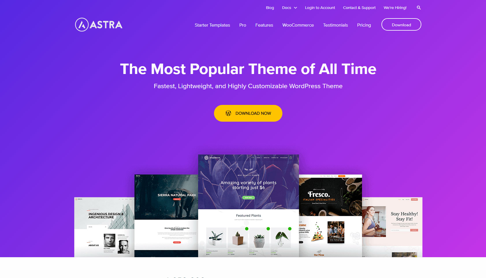Astra, one of the most popular WordPress themes