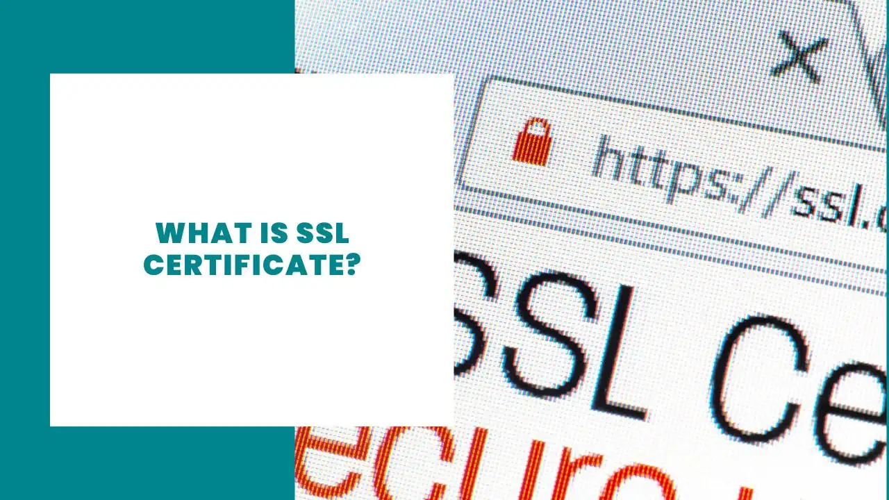 ¿Qué es un certificado SSL? Conceptos básicos de la capa de sockets seguros