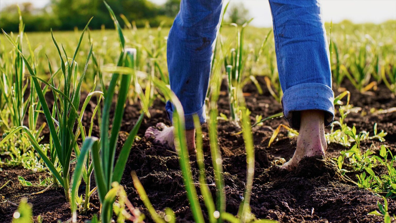 Healing Benefits of Grounding | Connect with Earth Barefoot