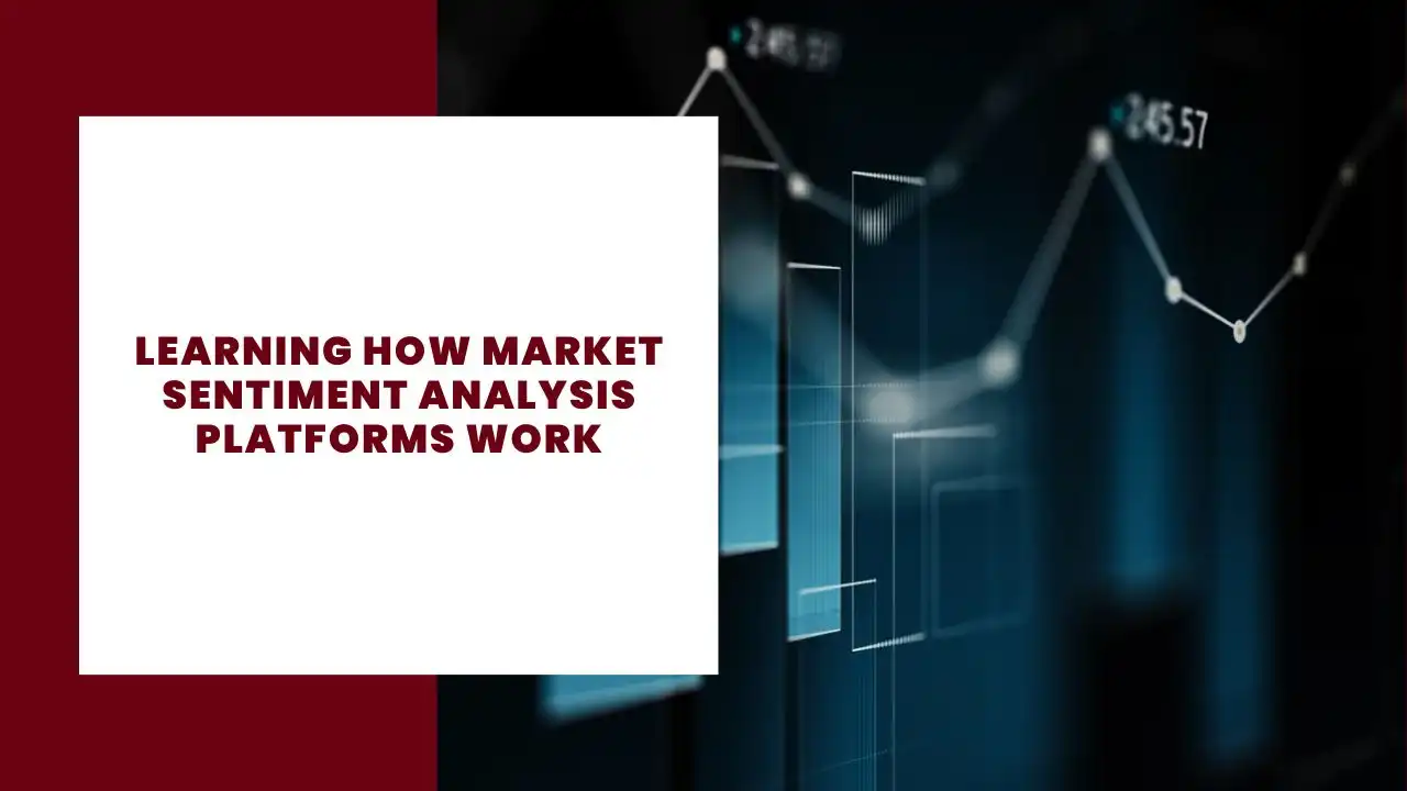 Learning How Market Sentiment Analysis Platforms Work