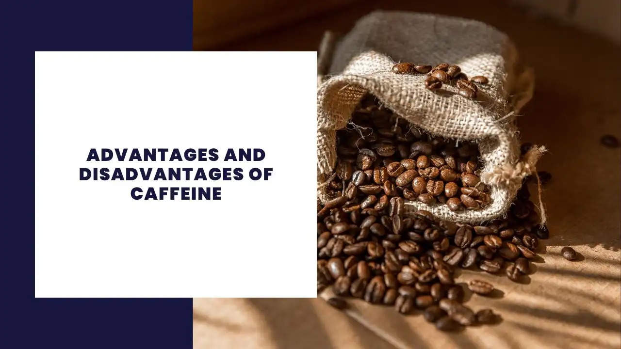 10 Advantages and Disadvantages of Caffeine