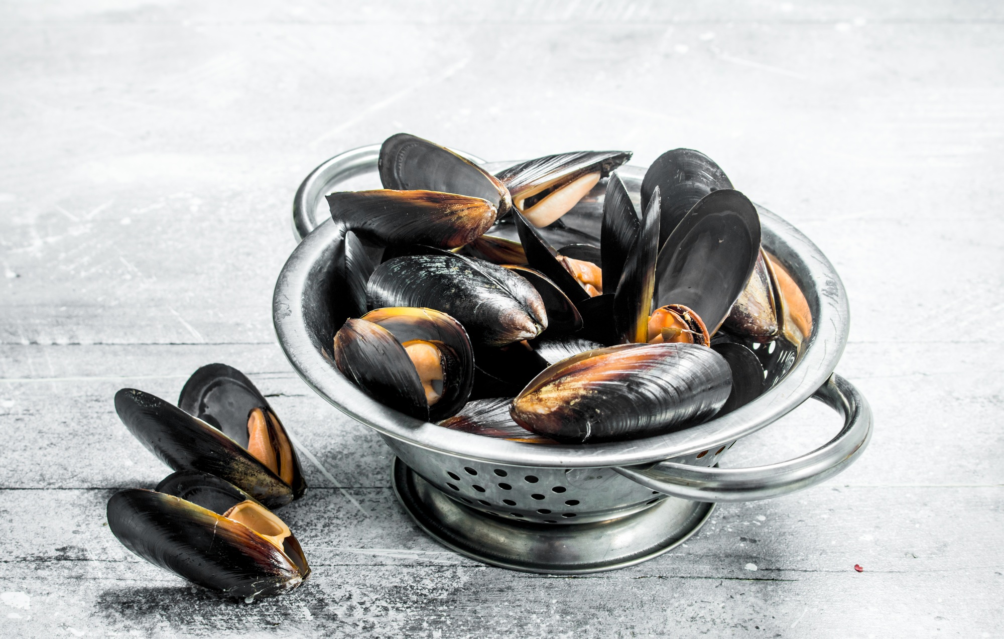 Oyster vs Clam: Understanding the Differences Between These Bivalve ...