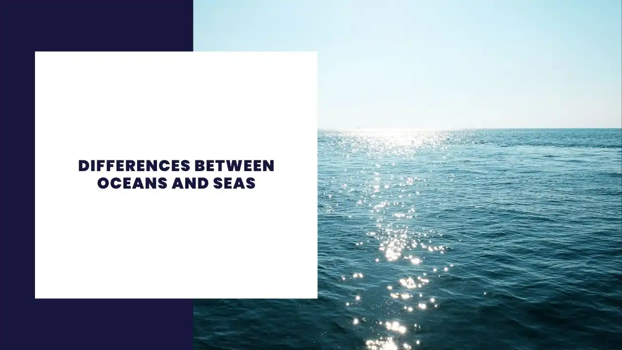 7 Differences Between Oceans and Seas