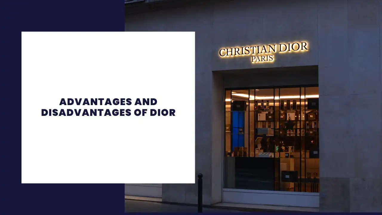 14 Advantages and Disadvantages of Dior