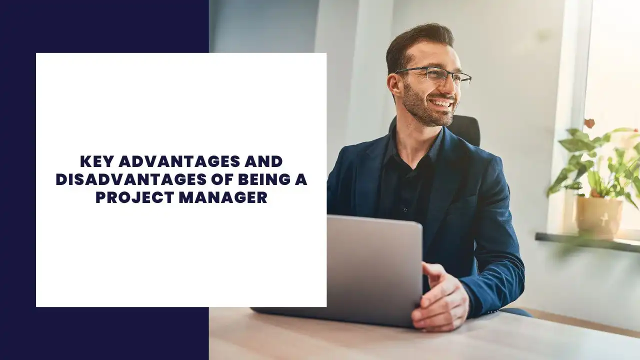 14 Key Advantages and Disadvantages of Being a Project Manager