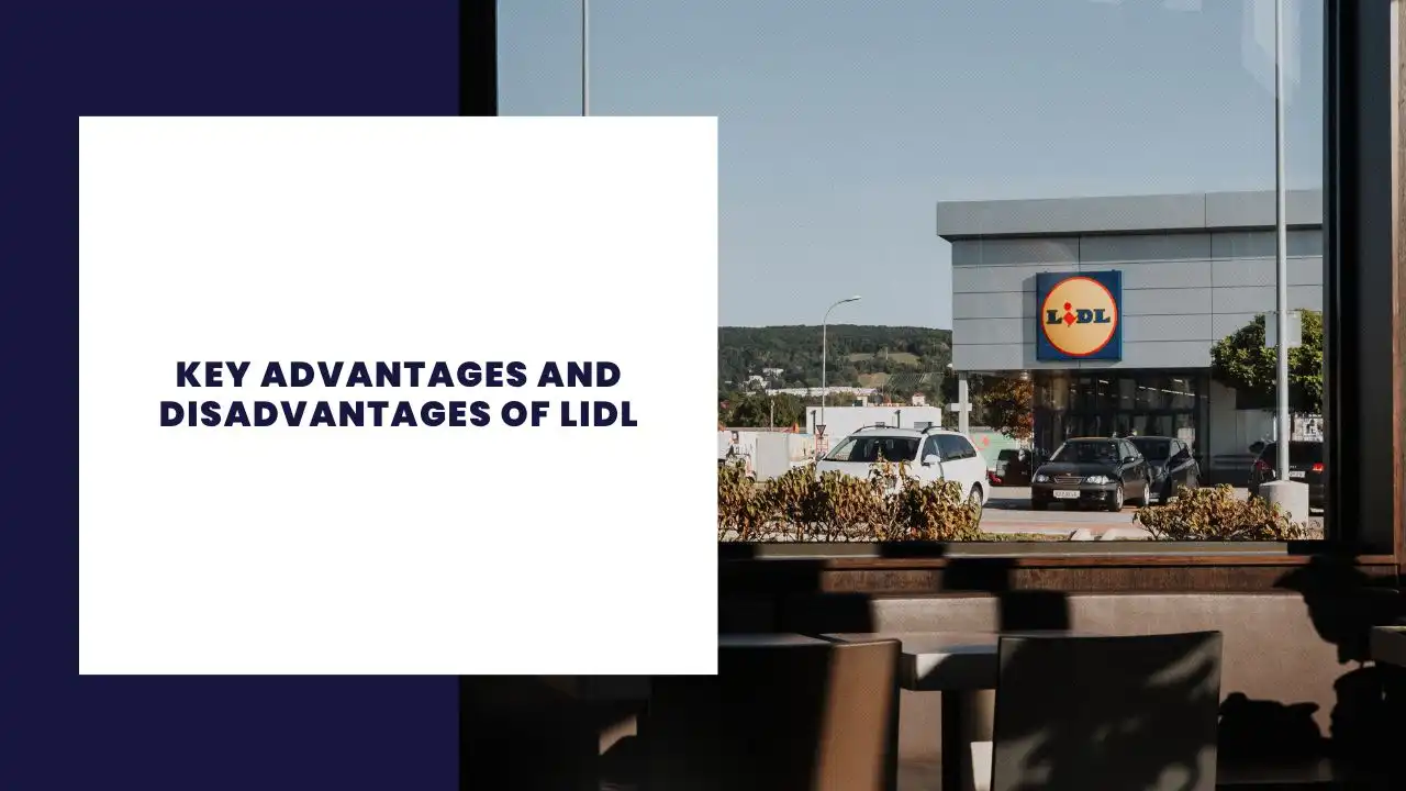 14 Key Advantages and Disadvantages of Lidl