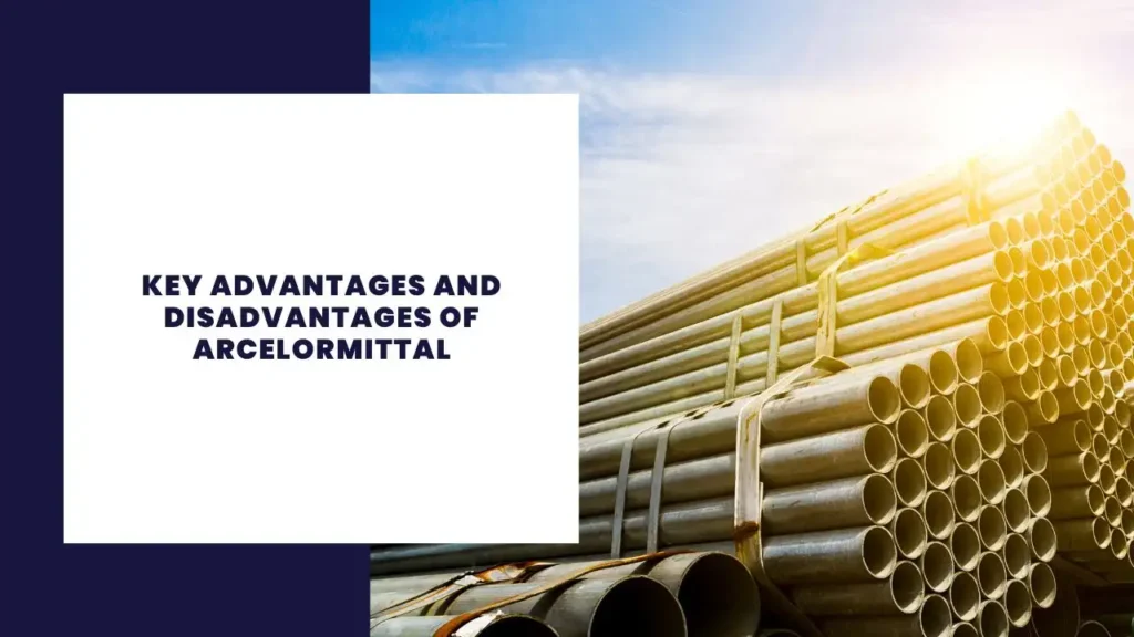 16 Advantages and Disadvantages of Privatisation