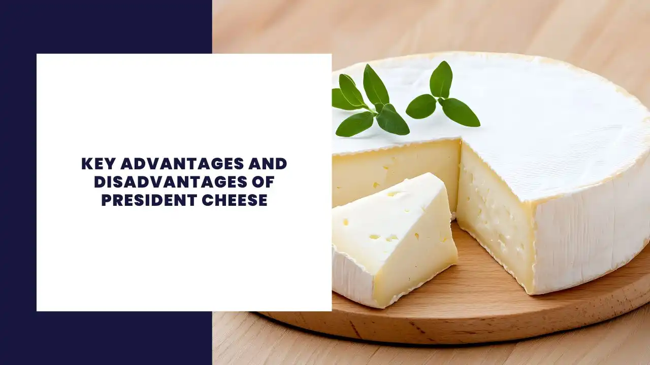 14 Key Advantages And Disadvantages Of President Cheese