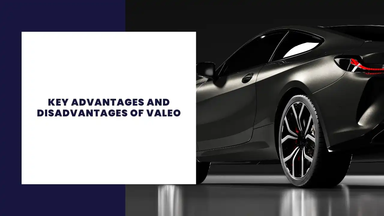 14 Key Advantages And Disadvantages Of Valeo