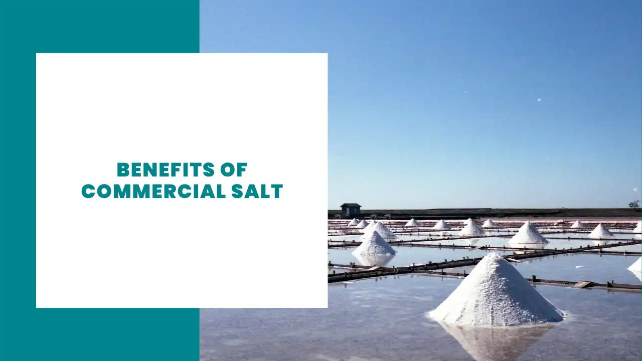 7 Benefits of Commercial Salt