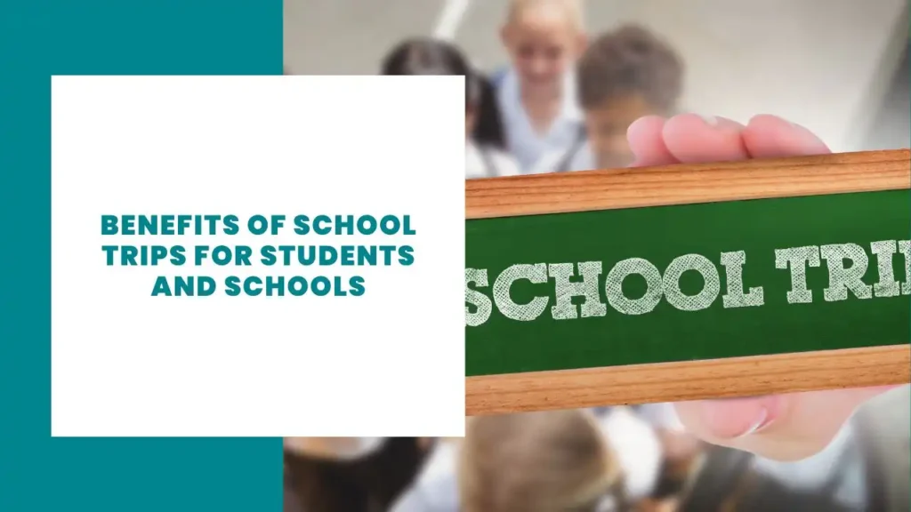 14 Key Advantages and Disadvantages of Being a Web Developer