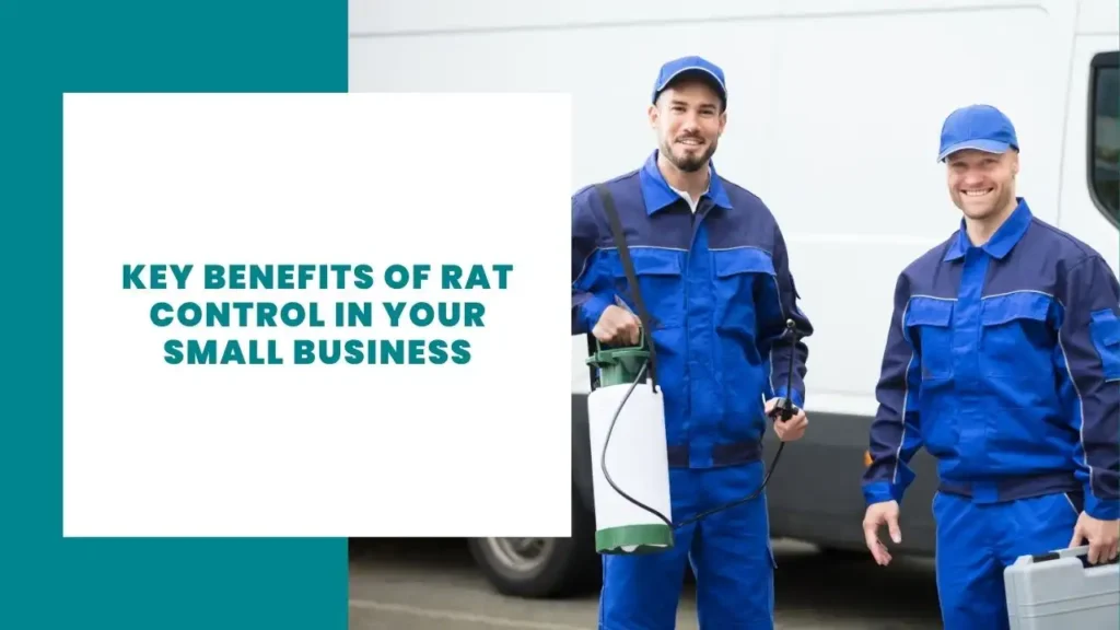 ¿Para qué se utiliza el MDF?