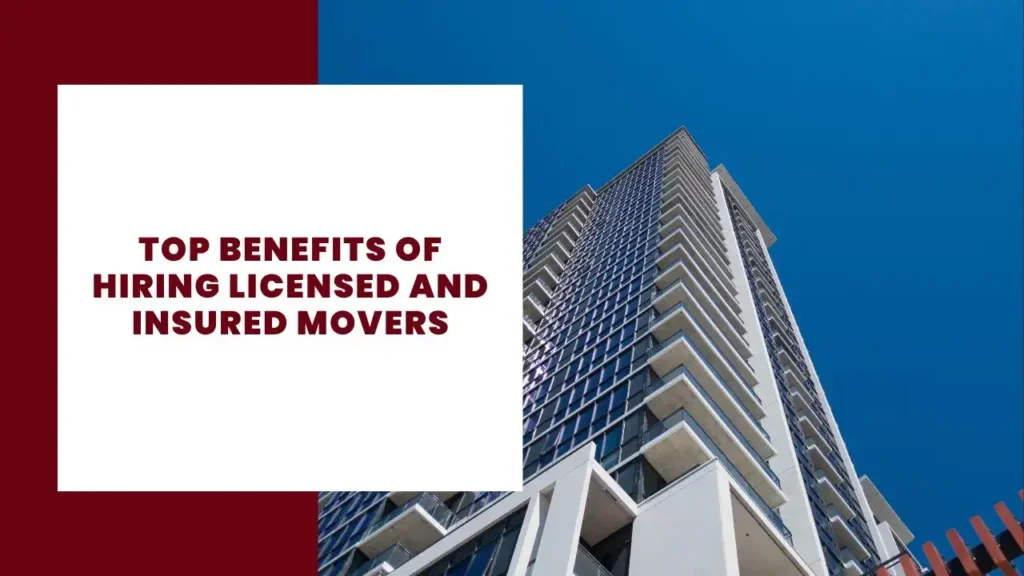 14 Key Advantages And Disadvantages Of Software Development